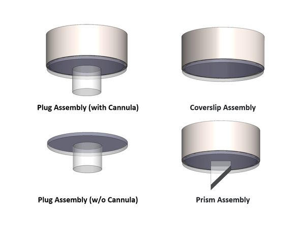 Mini2P Implant (Pack of 5) - LABmaker
