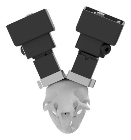 Neuroscience - LABmaker